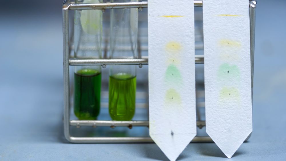 What are chromatography resins, composition, uses, types? - Bestchrom